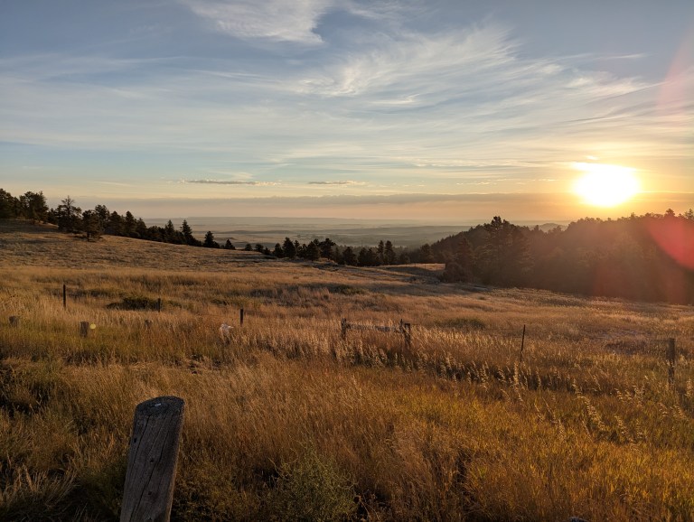 Grasslands – Two Book Reflections